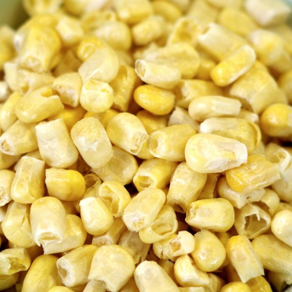 dried corn kernels